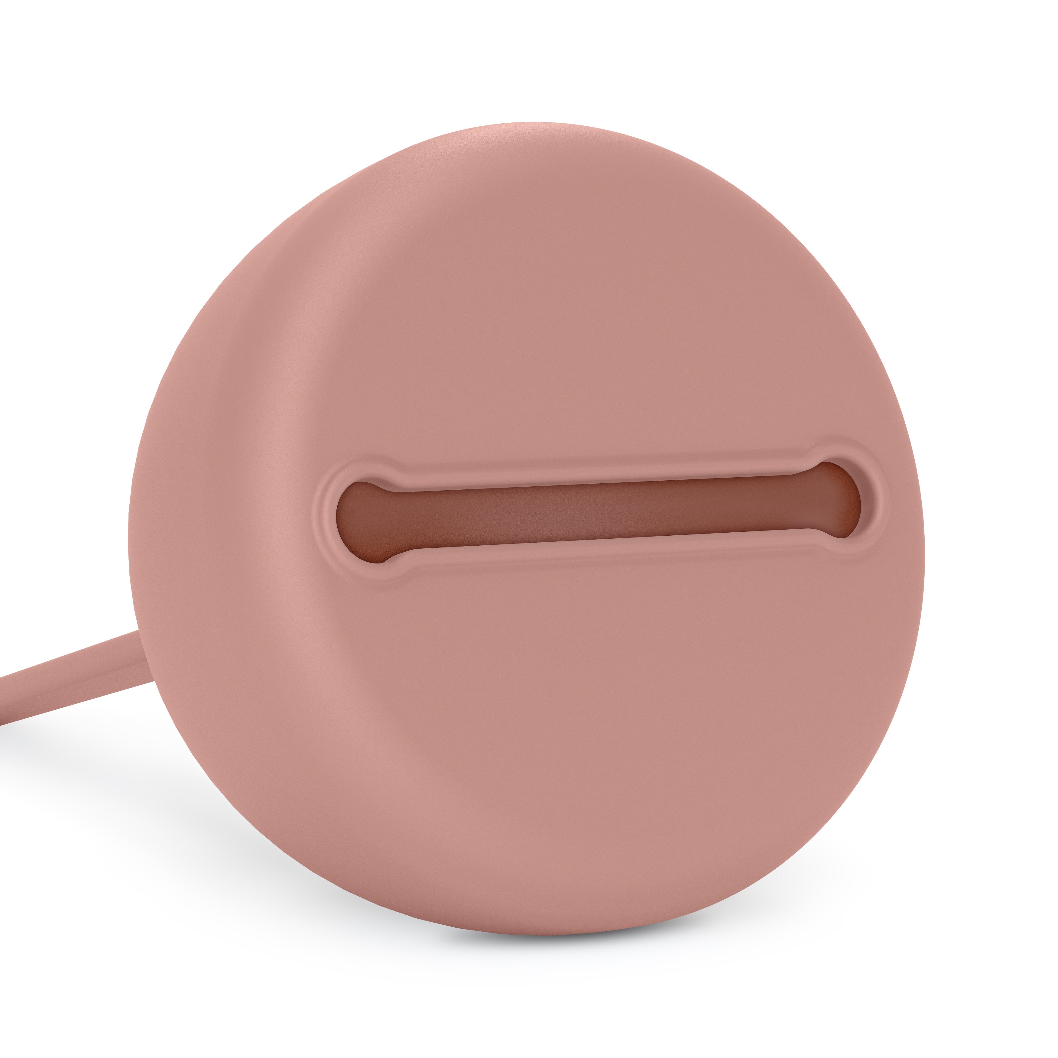 Pacifier case store